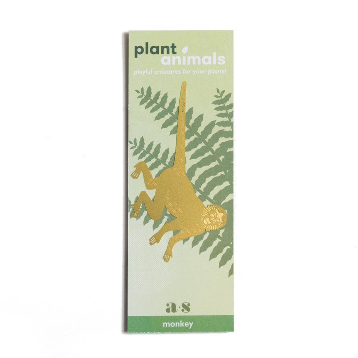 Plant Accent | Spider Monkey – Botanical Dwellings