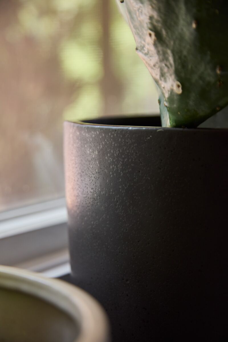 Elliot Pot | Black – Botanical Dwellings